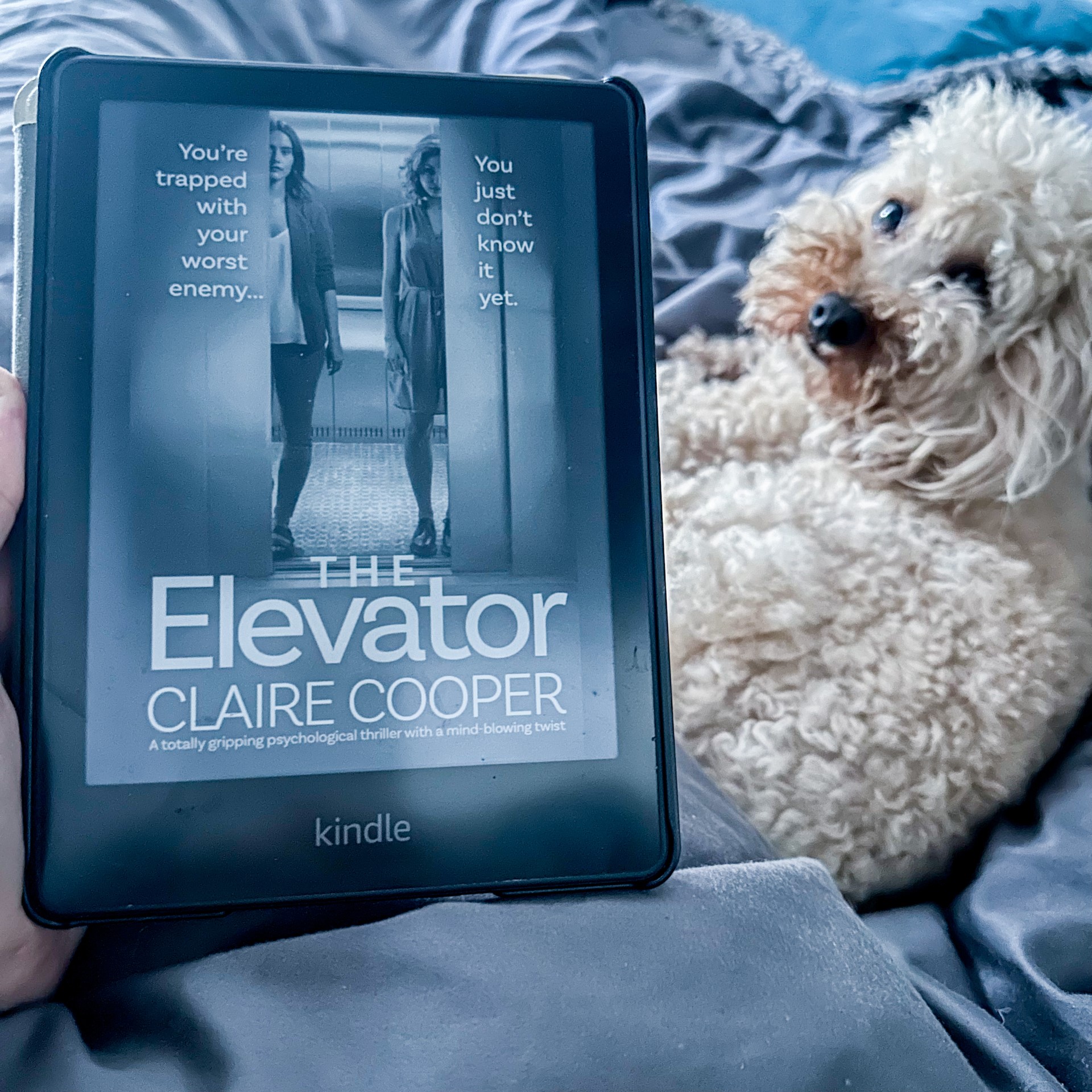 The Elevator Book Review – NO SHELF CONTROL