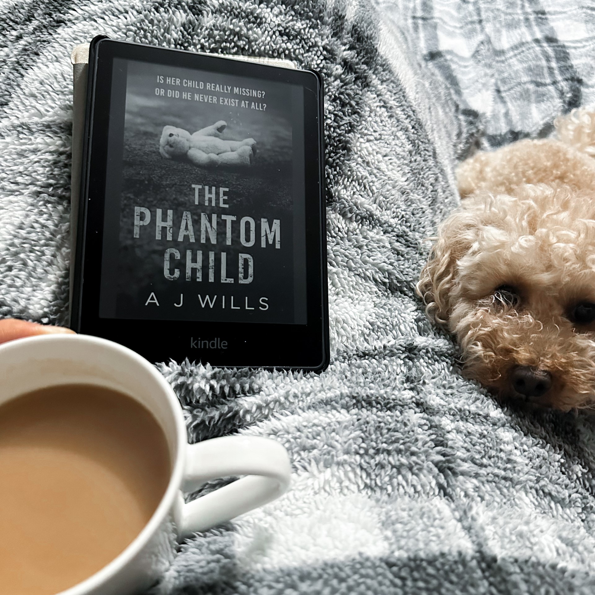 The Phantom Child Book Review – NO SHELF CONTROL