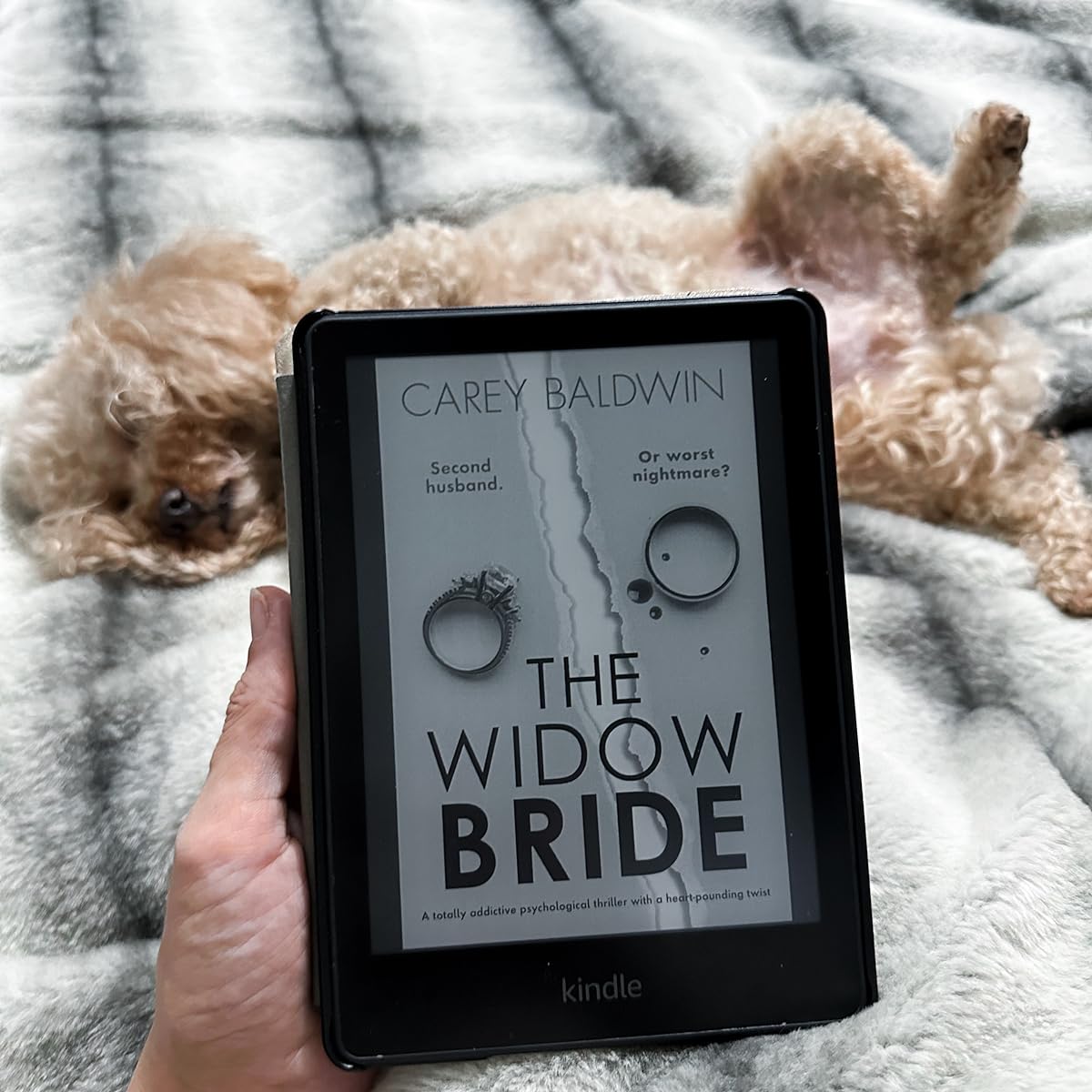The Widow Bride Book Review – NO SHELF CONTROL