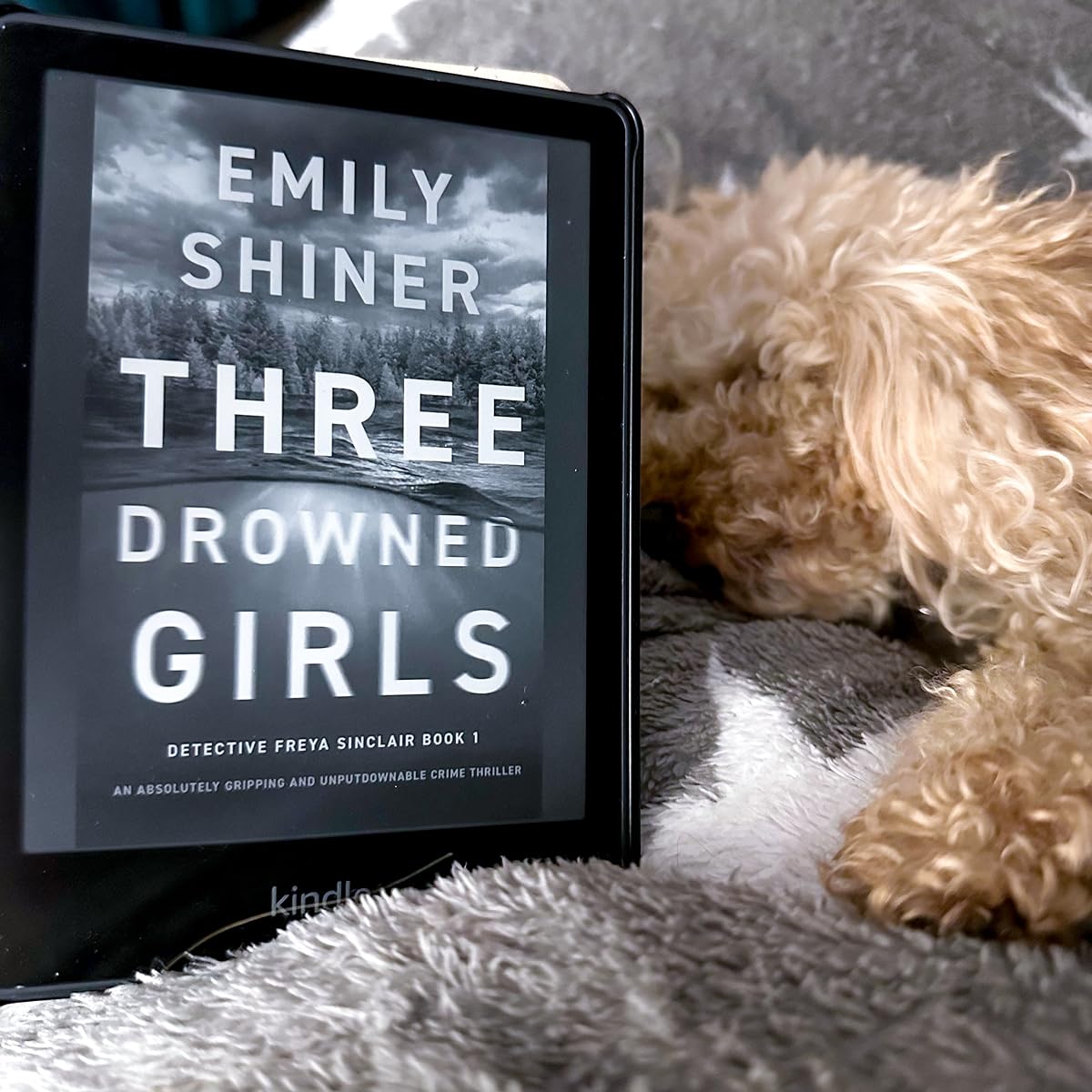 Three Drowned Girls Book Review – NO SHELF CONTROL