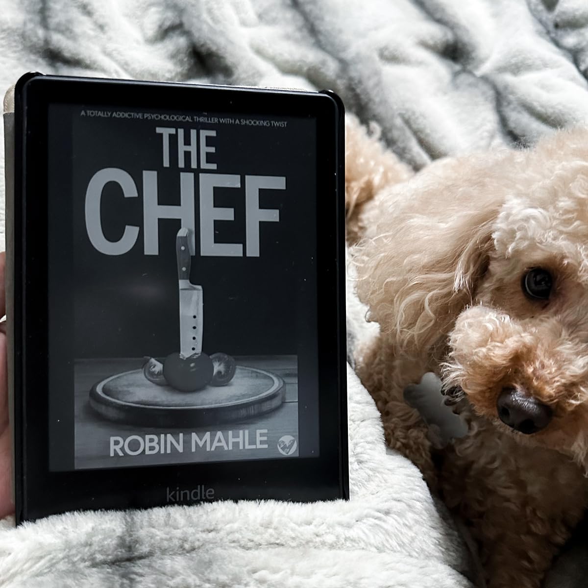 The Chef Book Review – NO SHELF CONTROL