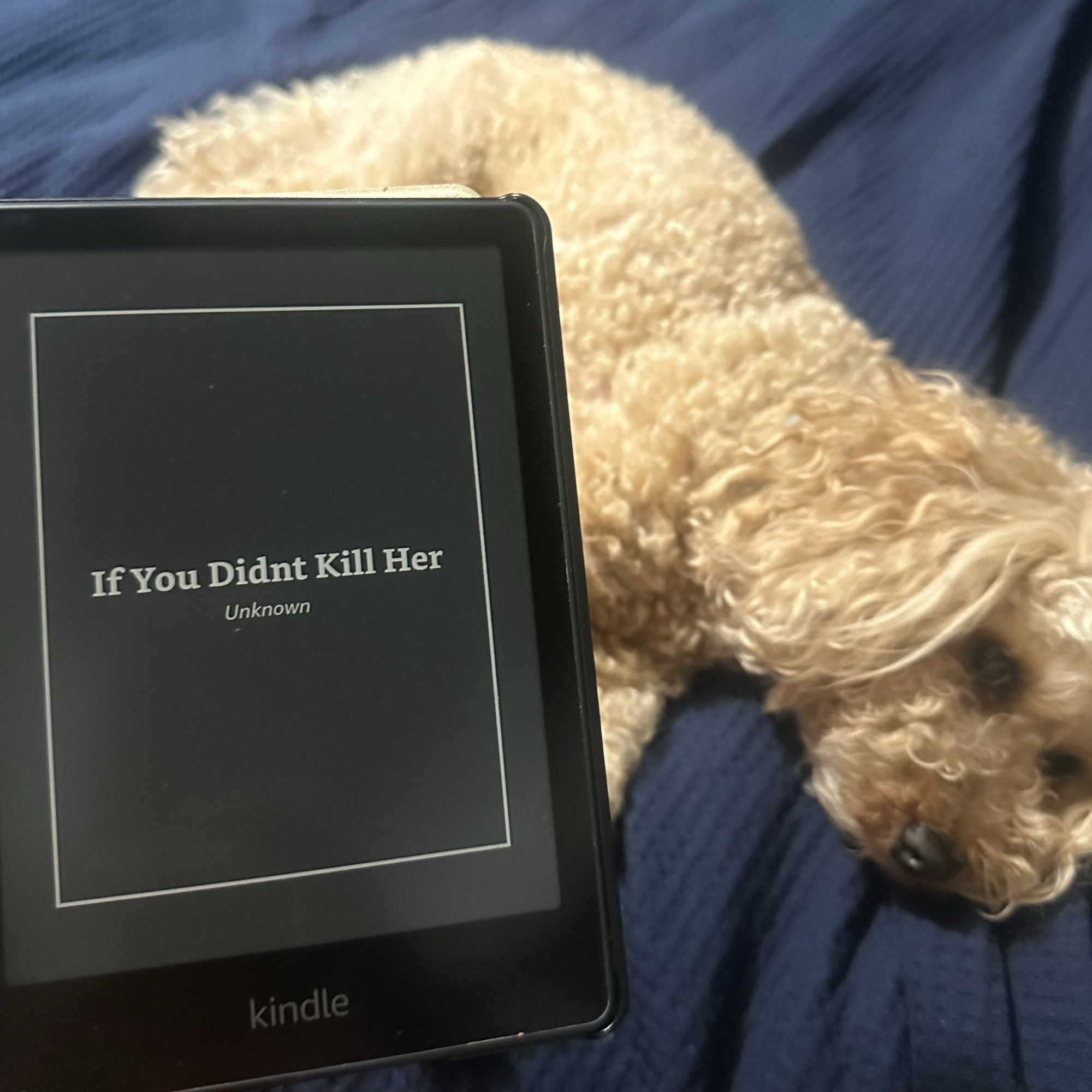 If You Didn’t Kill Her Book Review – NO SHELF CONTROL