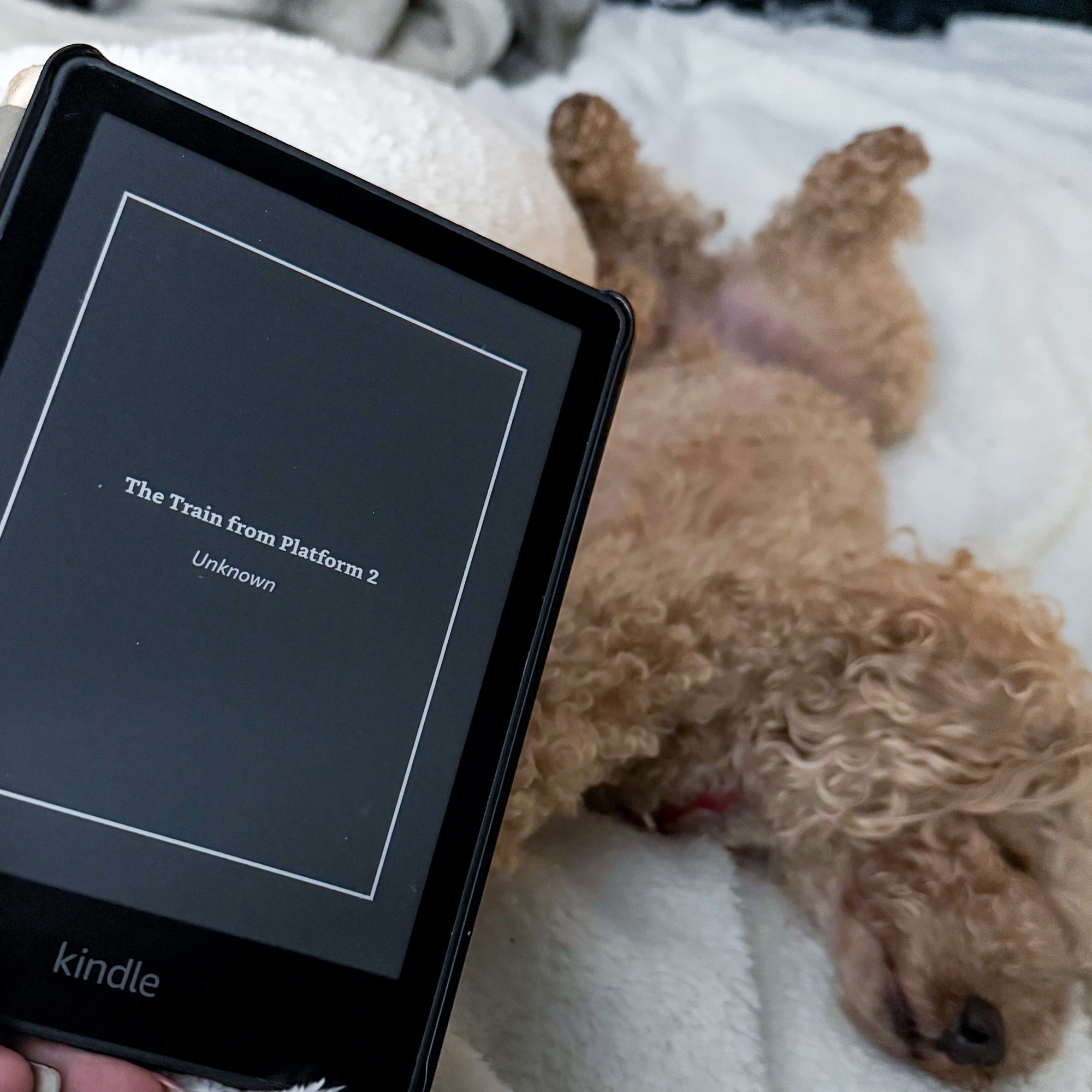 The Train From Platform 2 Book Review – NO SHELF CONTROL