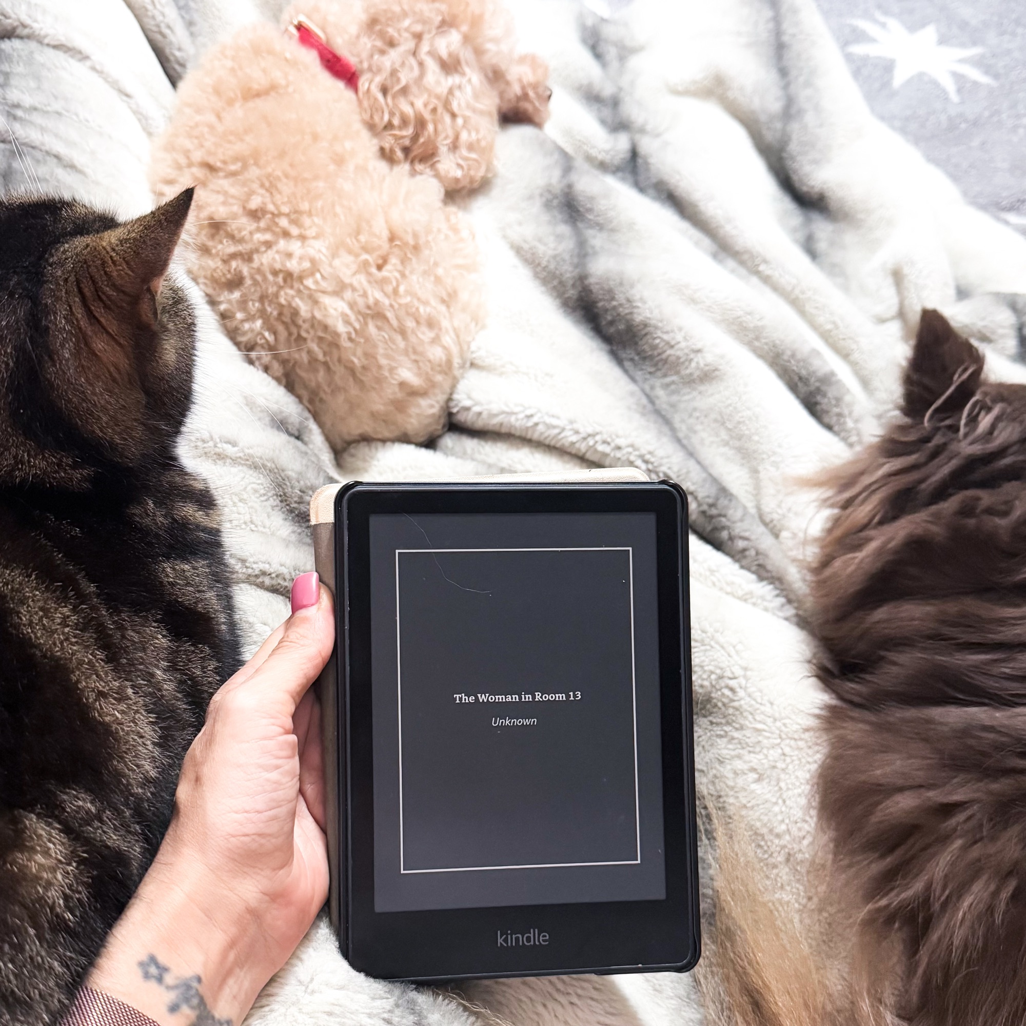 The Woman in Room 13 Book Review – NO SHELF CONTROL